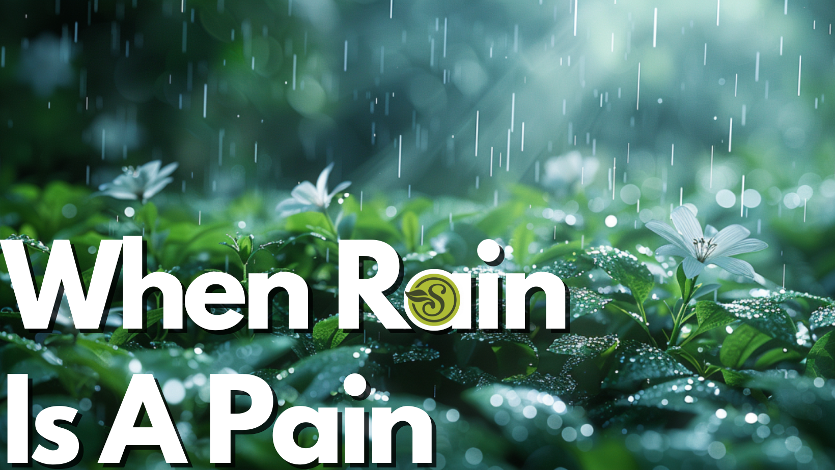 Southwood | When Rain Is A Pain - Southwood