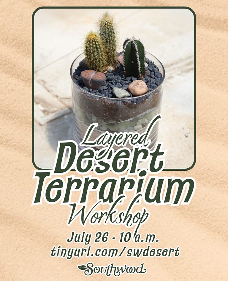 Southwood | Layered Desert Terrarium Workshop - Southwood