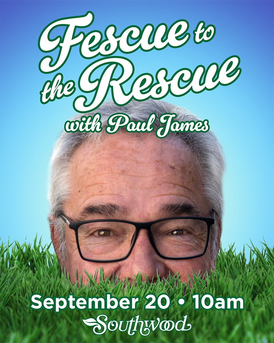Southwood | Fescue to the Rescue - Southwood